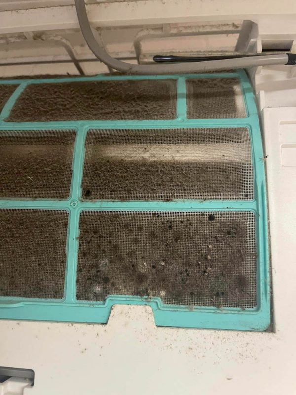 Is There Mold in Your Mini Split? Here’s How to Keep It Clean, Safe ...